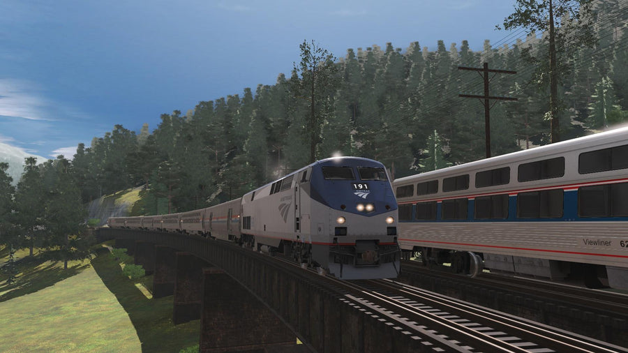Pro Train: Amtrak Viewliner I & II | Trainz Store