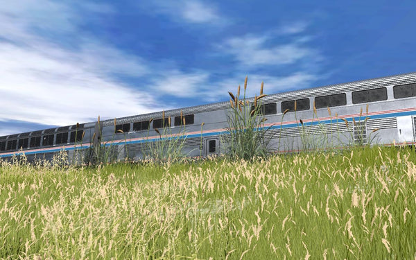 Amtrak Superliners | Trainz Store